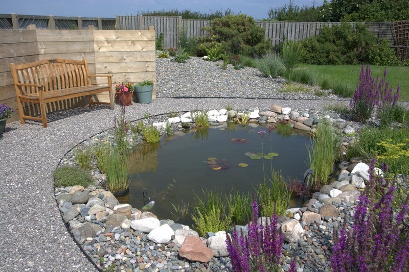 Planting - Garden Landscapers Cumbria